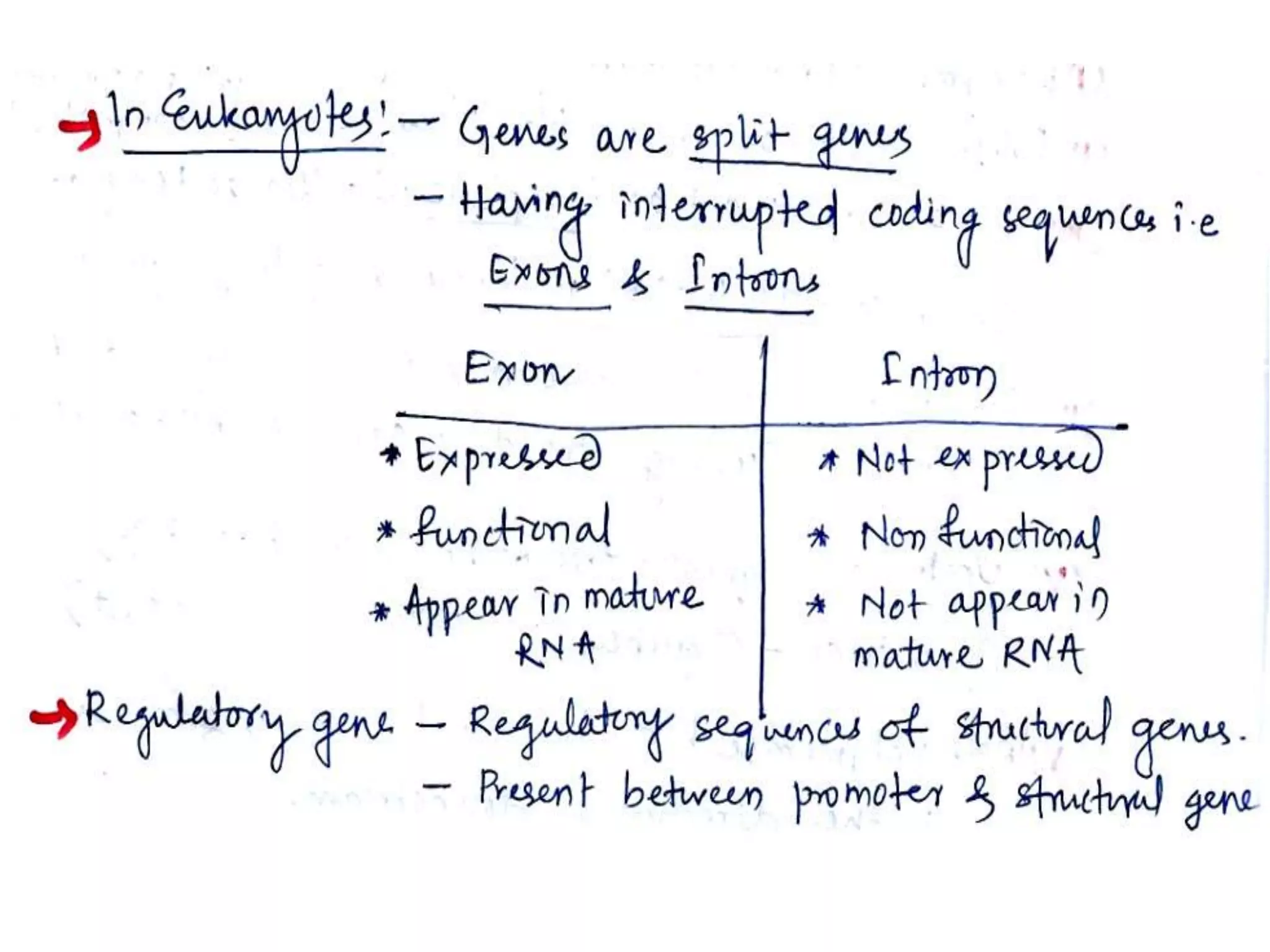 Molecular basis of inheritance (Class 12) | PPTX