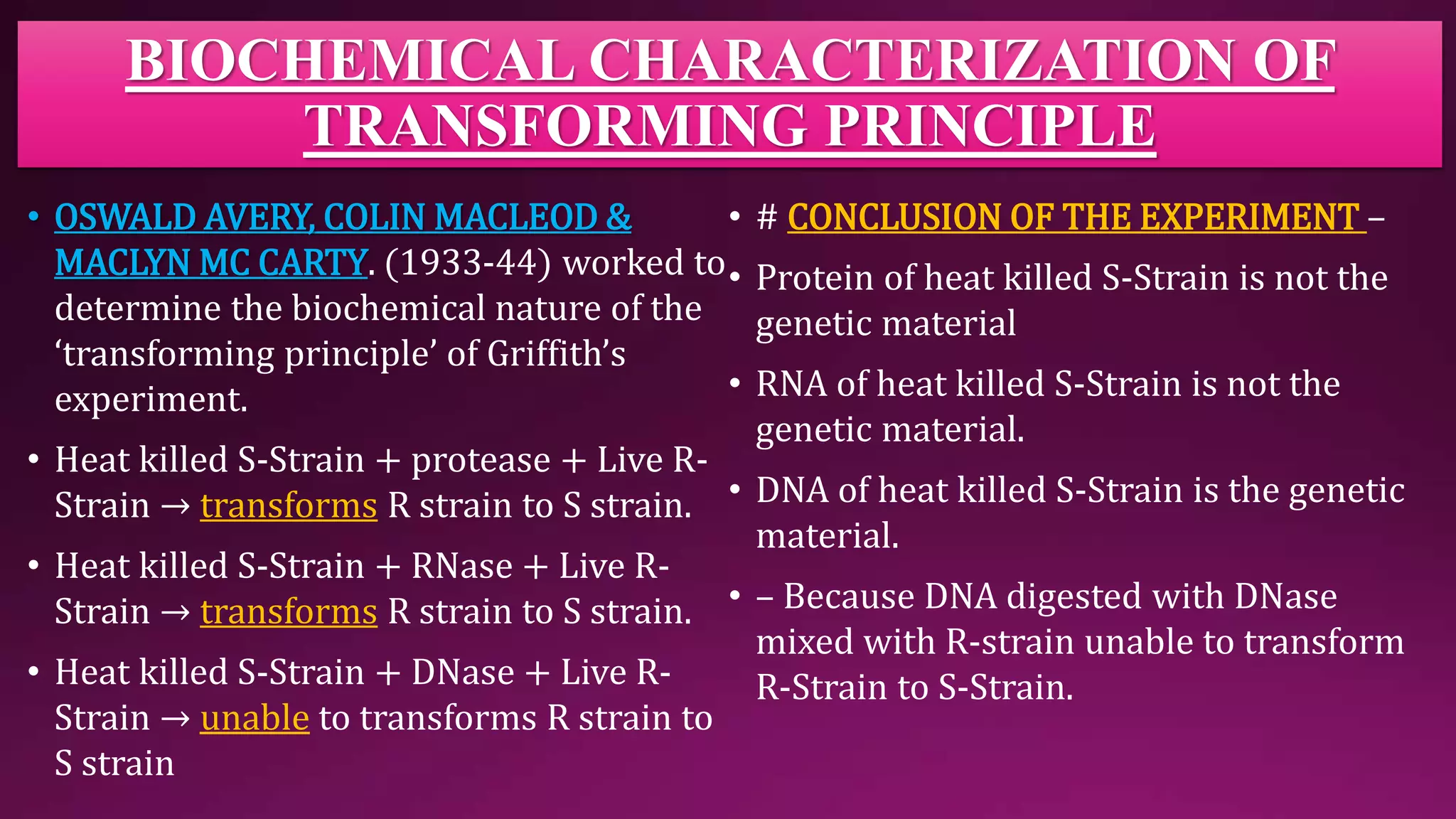 Molecular basis of inheritance | PPTX