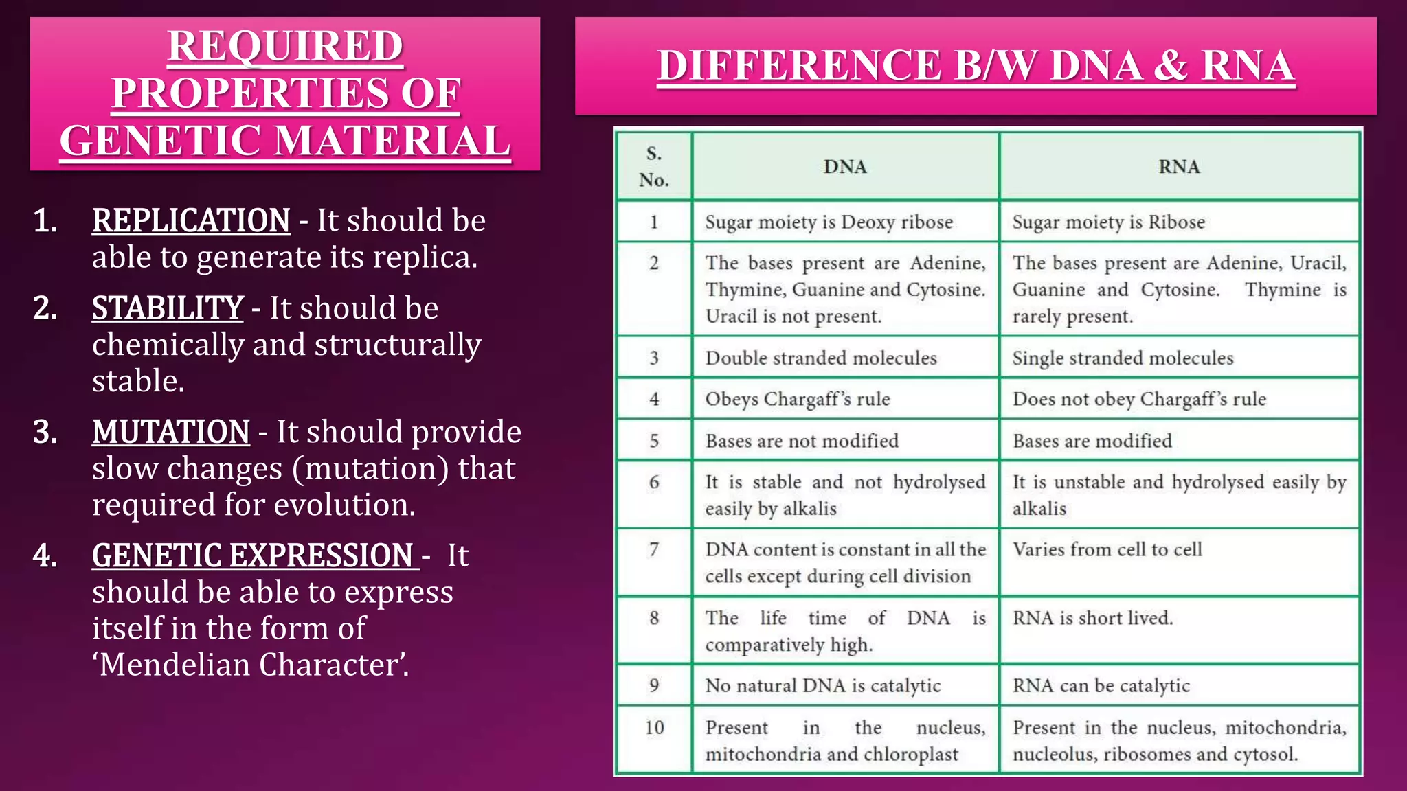 Molecular basis of inheritance | PPTX