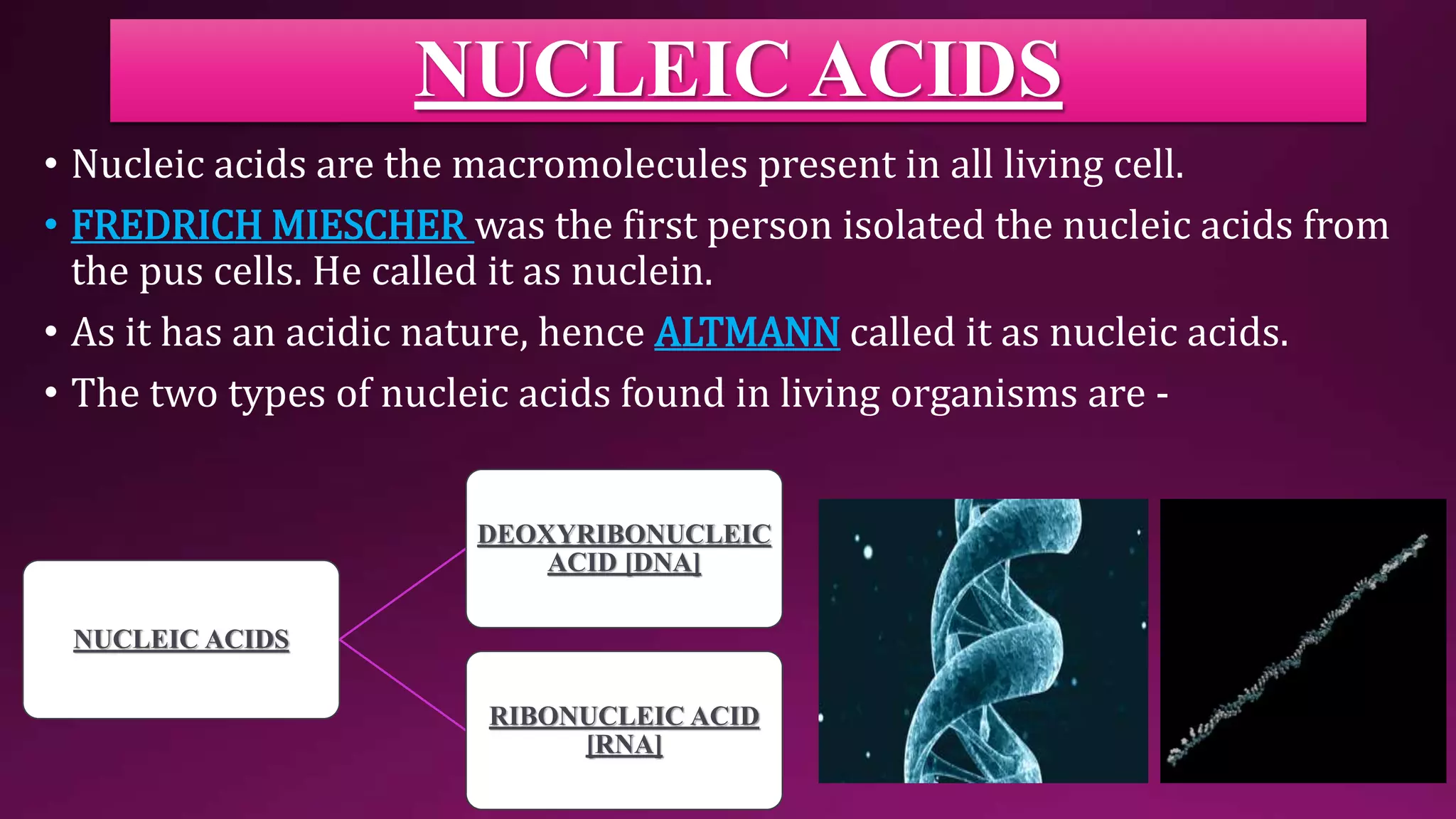 Molecular basis of inheritance | PPTX