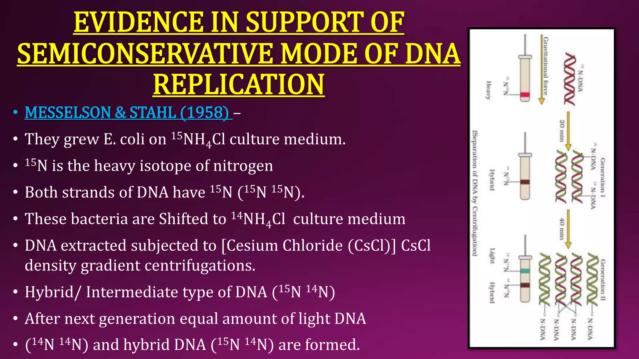 Molecular basis of inheritance | PPTX