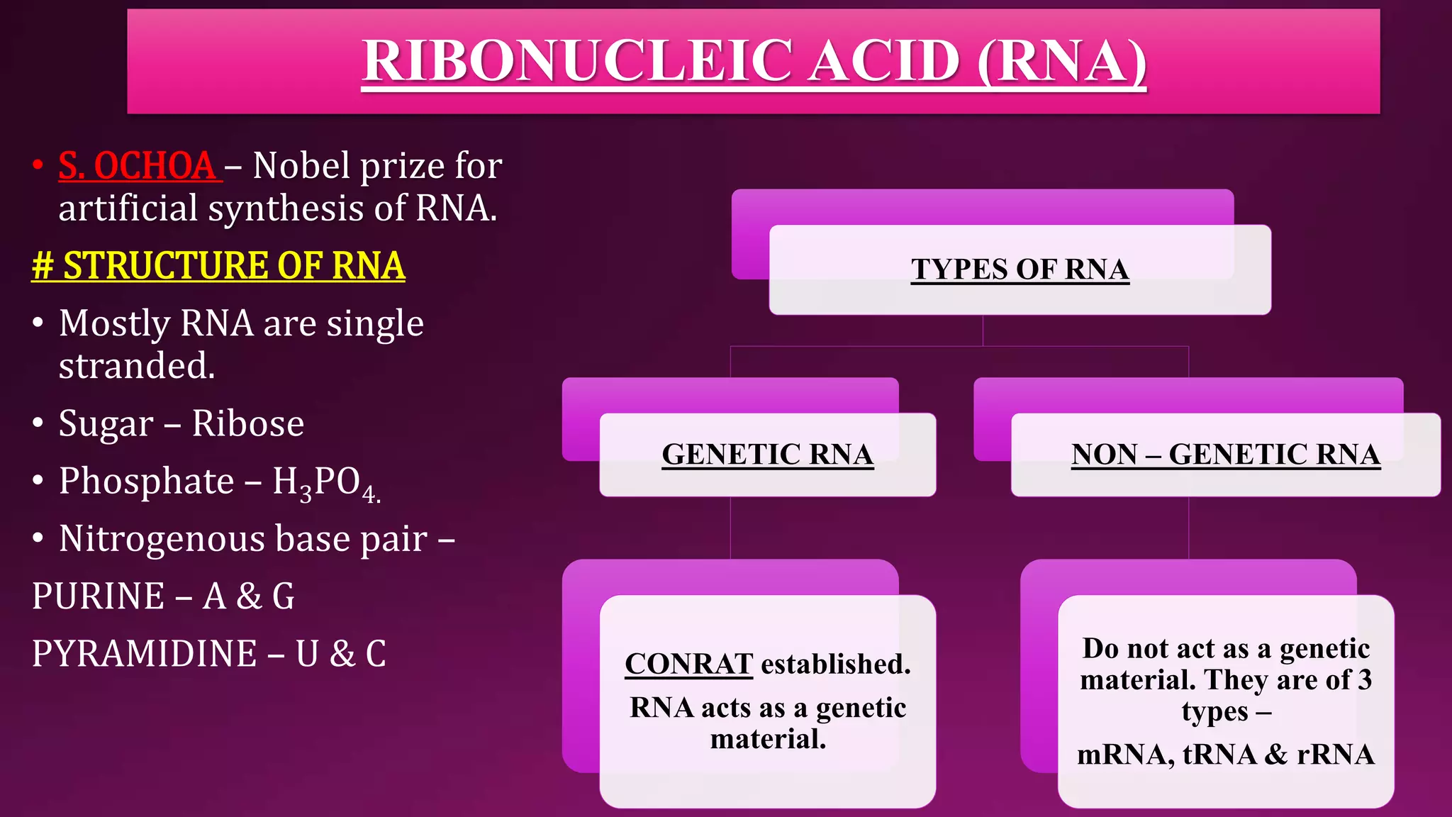 Molecular basis of inheritance | PPTX