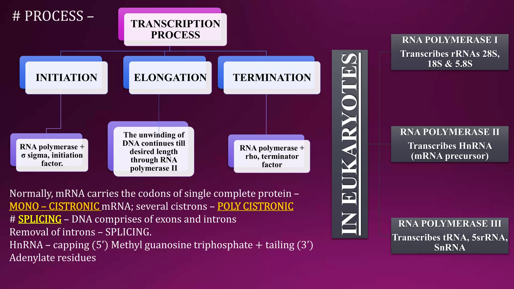 Molecular basis of inheritance | PPTX