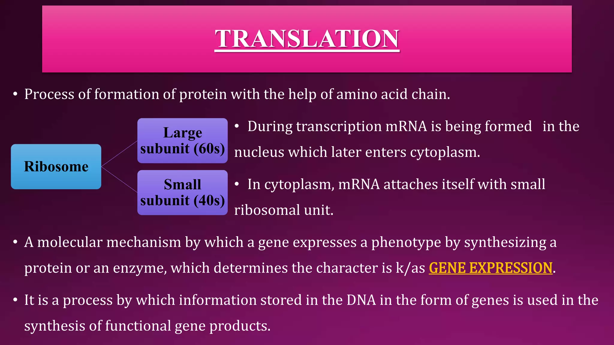Molecular basis of inheritance | PPTX