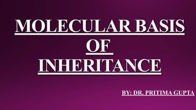 Molecular basis of inheritance | PPTX