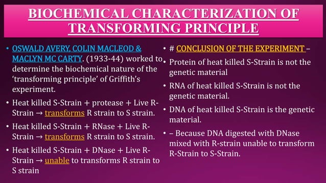 Molecular basis of inheritance | PPTX