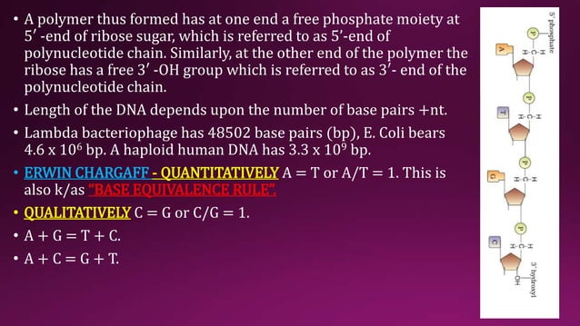 Molecular basis of inheritance | PPTX