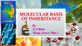 Molecular basis of inheritance | PPT