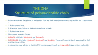 molecular basis of inheritance in files .pptx