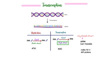 molecular basis of inheritance - supernotes.pdf