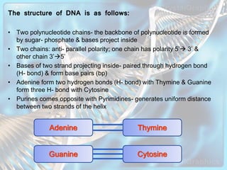 Molecular basis of inheritane ppt | PPSX