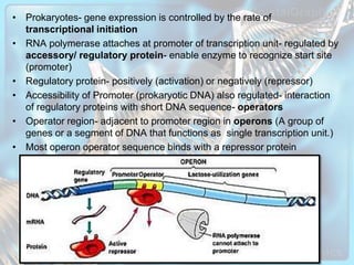 Molecular basis of inheritane ppt | PPSX