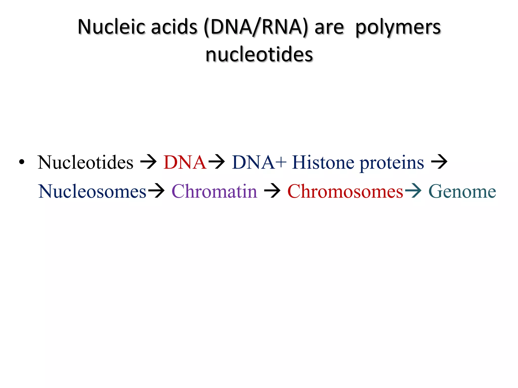 Molecular basis of inheritance ..The DNA | PPTX