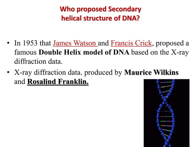 Molecular basis of inheritance ..The DNA | PPTX