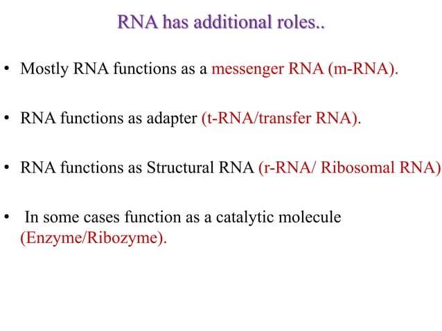 Molecular basis of inheritance ..The DNA | PPTX