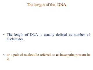 Molecular basis of inheritance ..The DNA | PPTX