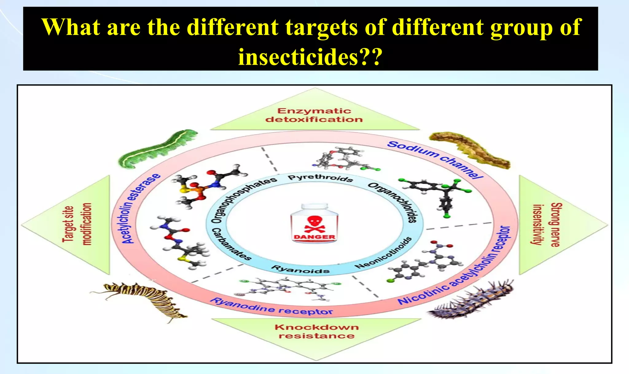Molecular basis of insecticides resistance in insects with special ...
