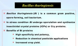 Molecular basis of insecticides resistance in insects with special ...