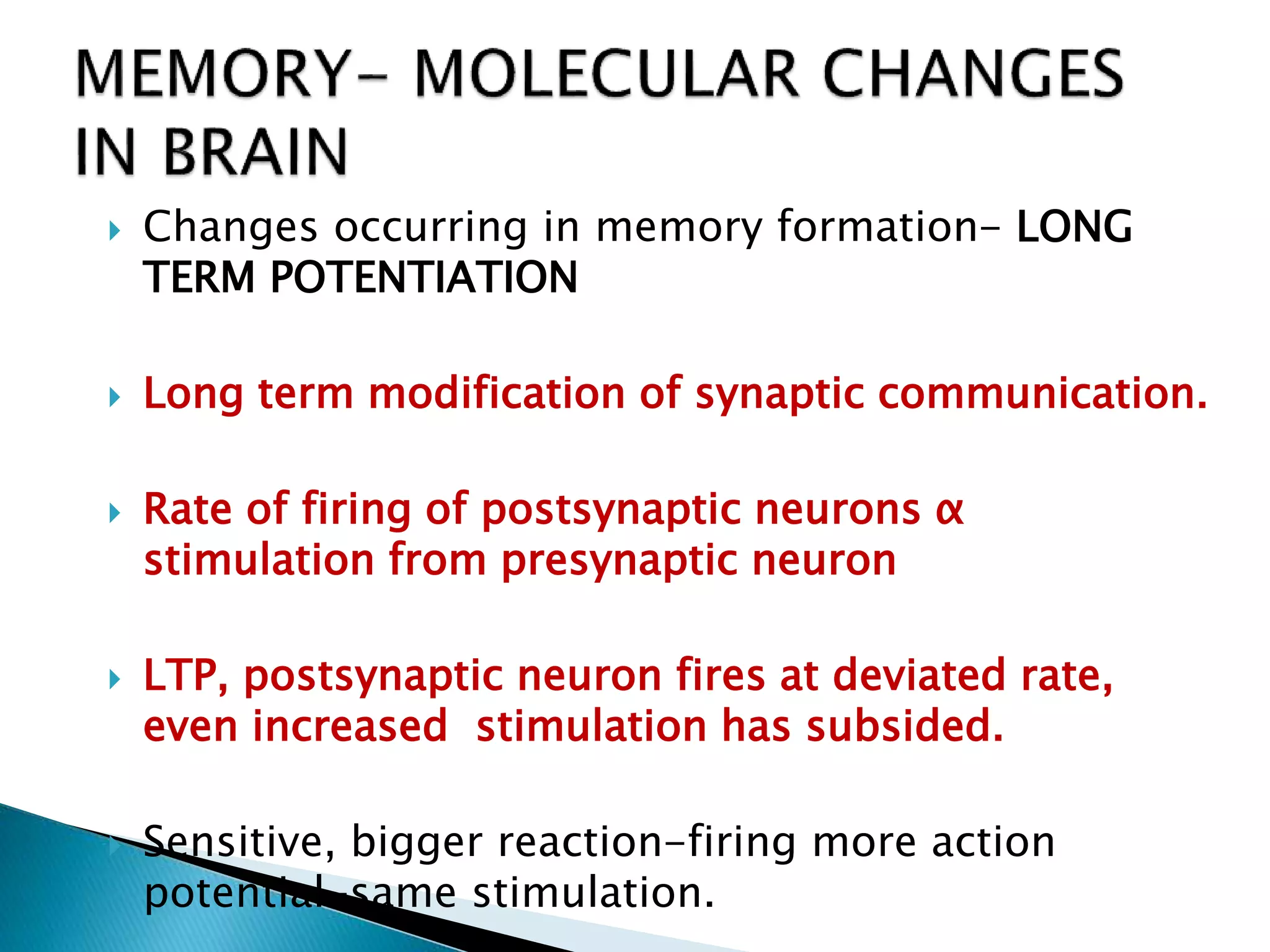 MOLECULAR BASIS OF MEMORY.pptx