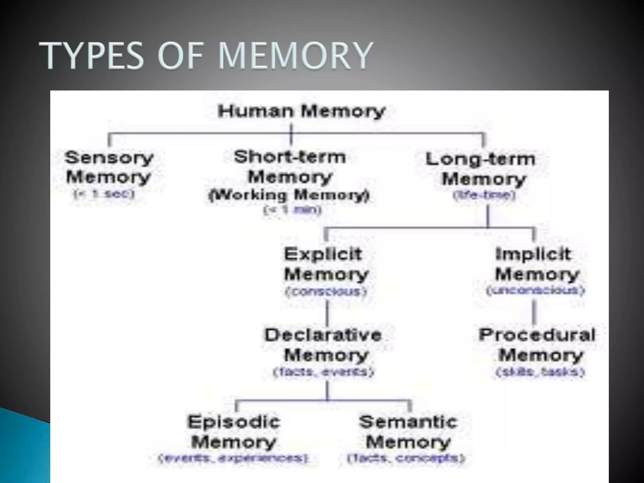 MOLECULAR BASIS OF MEMORY.pptx