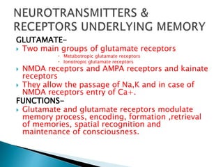 MOLECULAR BASIS OF MEMORY.pptx