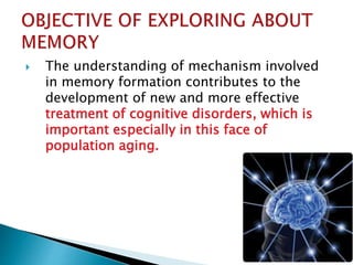 MOLECULAR BASIS OF MEMORY.pptx