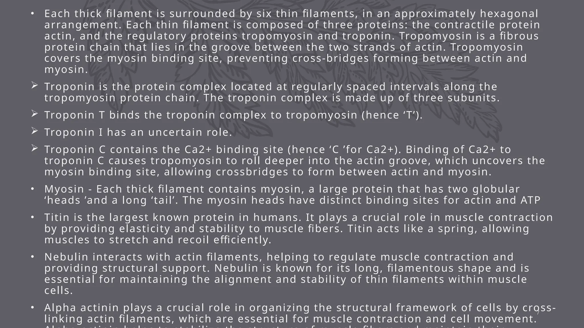 molecular basis of muscle contraction final..pptx