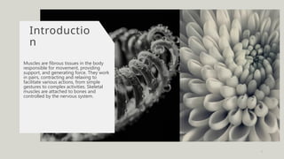 molecular basis of muscle contraction final..pptx