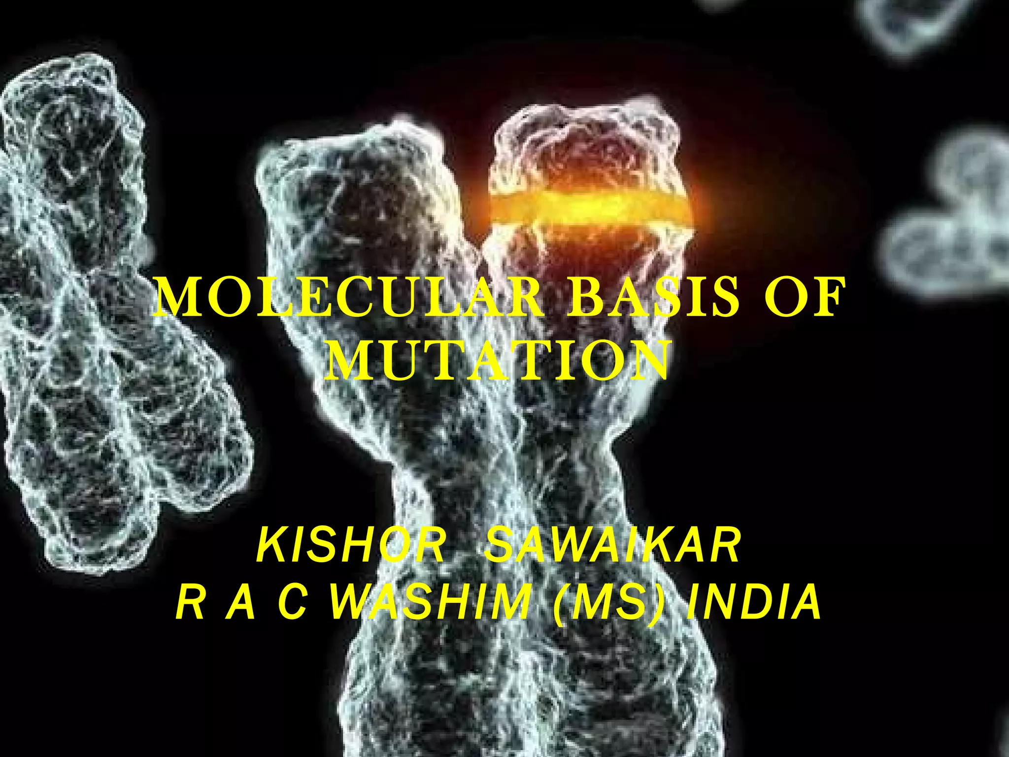 Molecular basis of mutation by kss | PPT