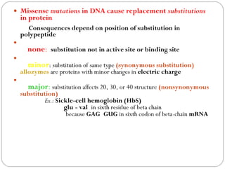 Molecular basis of mutation by kss | PPT