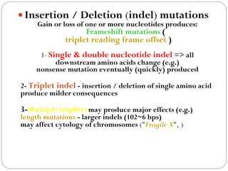 Molecular basis of mutation by kss | PPT