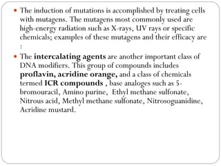 Molecular basis of mutation by kss | PPT