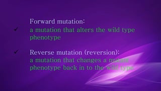 Molecular basis of mutations | PPTX