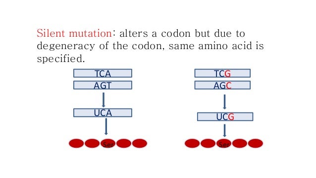 Molecular basis of mutations