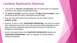Molecular Basis of Neoplasia.pptx