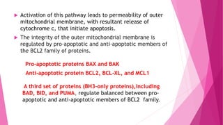 Molecular Basis of Neoplasia.pptx
