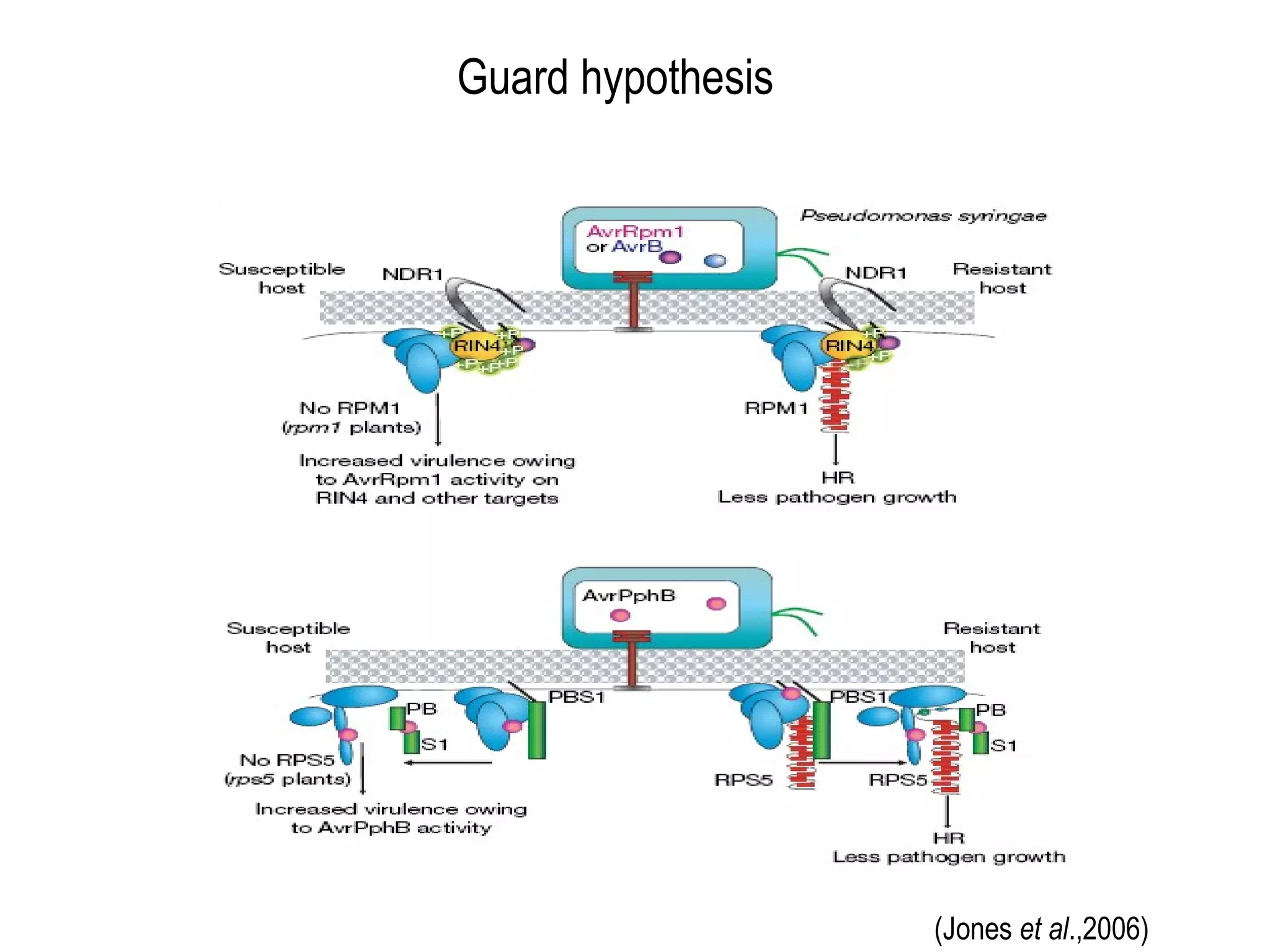Molecular basis of plant resistance and defense responses to pathogens ...