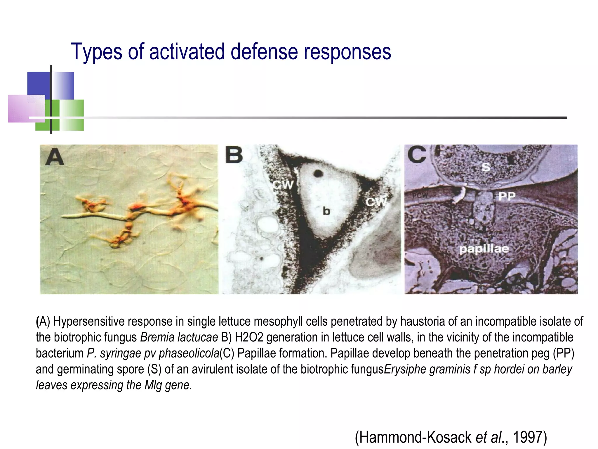 Molecular basis of plant resistance and defense responses to pathogens ...