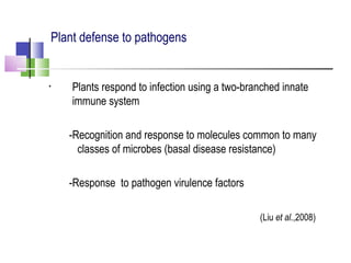 Molecular basis of plant resistance and defense responses to pathogens ...