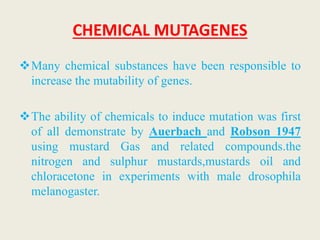 Molecular basis of spontanceous mutation,induced mutation & physical ...