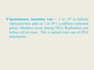Molecular basis of spontanceous mutation,induced mutation & physical ...