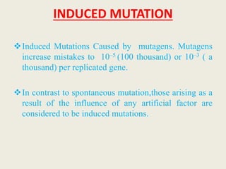 Molecular basis of spontanceous mutation,induced mutation & physical ...