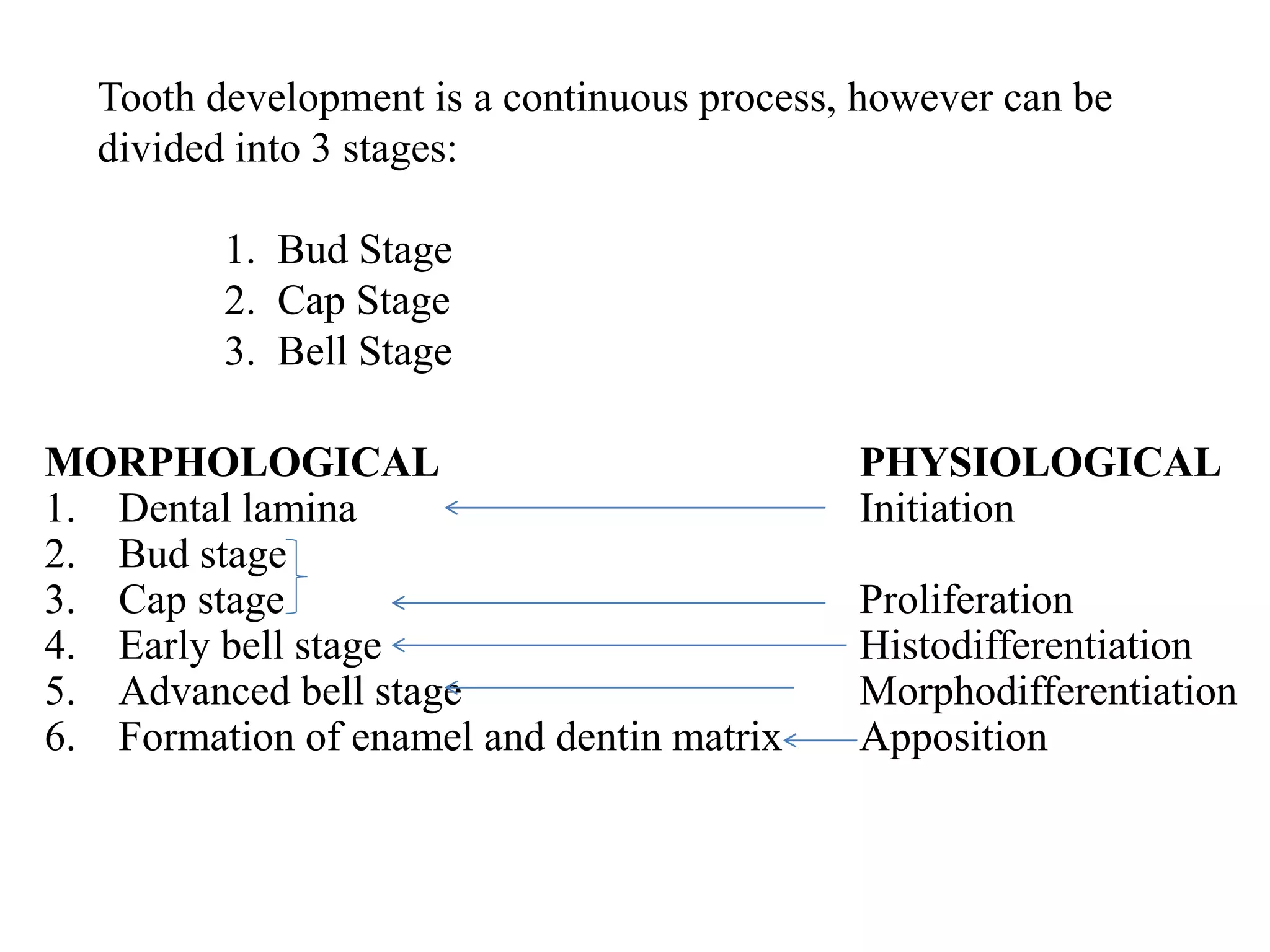 Molecular Basis of Tooth Development | PPTX