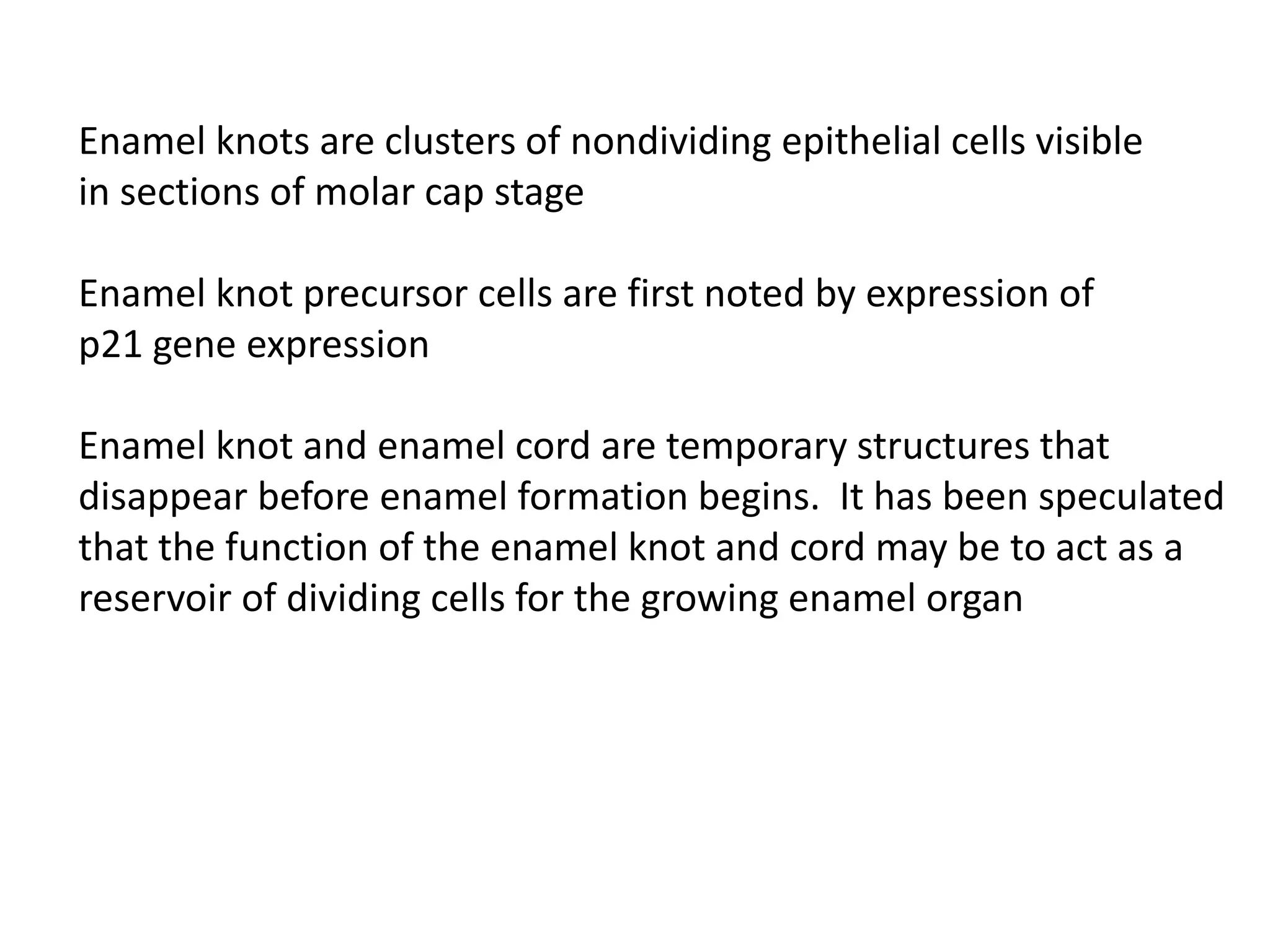 Molecular Basis of Tooth Development | PPTX