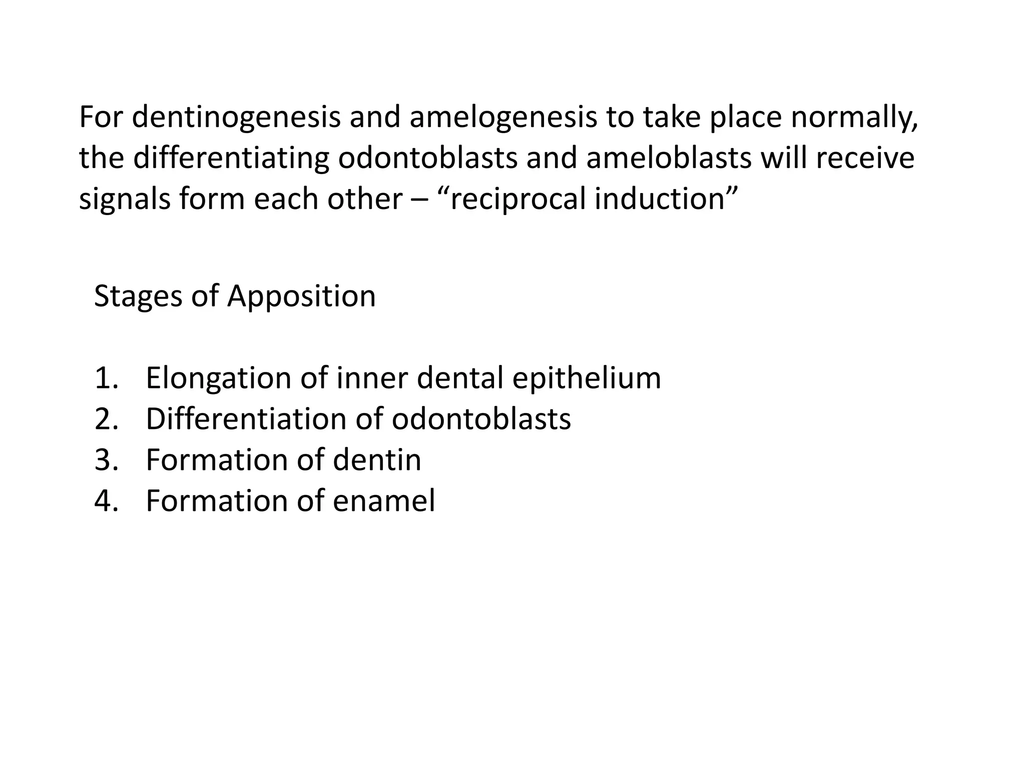 Molecular Basis of Tooth Development | PPTX