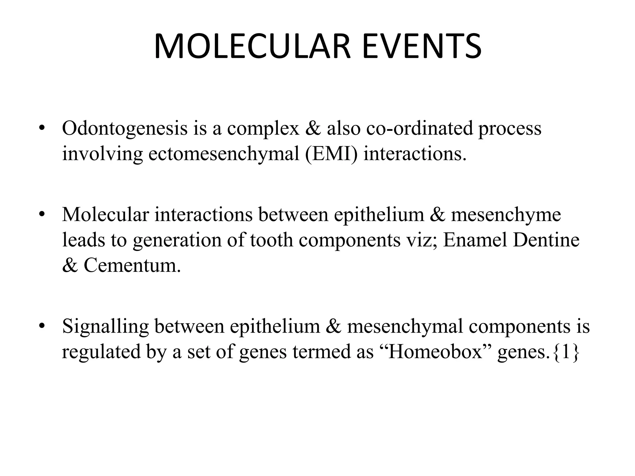 Molecular Basis of Tooth Development | PPTX