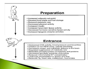 Molecular Basis of Torpor in Mammals .pdf