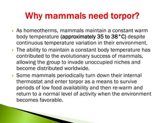 Molecular Basis of Torpor in Mammals .pdf