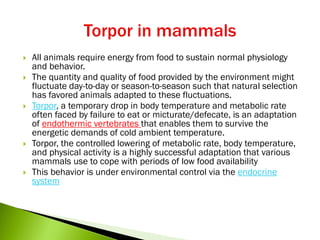 Molecular Basis of Torpor in Mammals .pdf