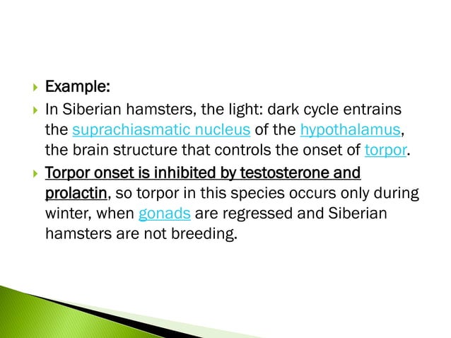 Molecular Basis of Torpor in Mammals .pdf | Endocrine and Metabolic ...